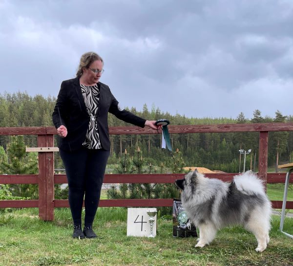 Keuruun Koiranäyttely